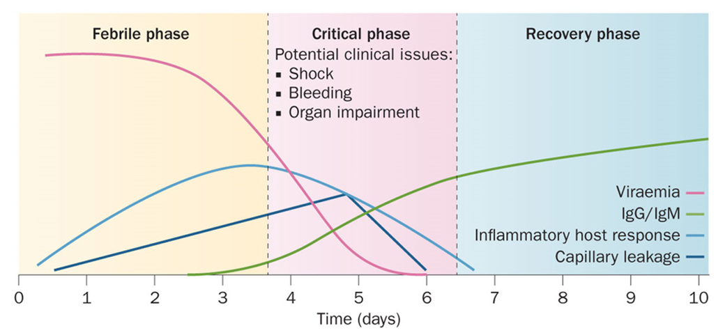 Dengue fever: epidemiology, clinical manifestations, diagnosis, and ...